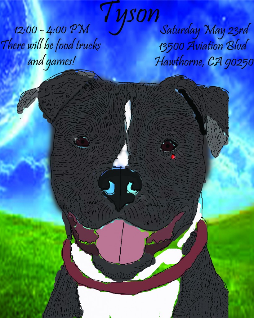 Tyon - Da Vinci Design